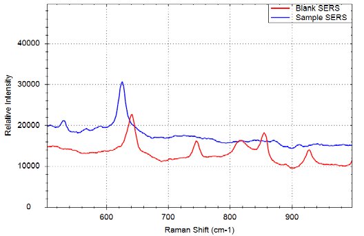 Portable Raman Instrumentation for SERS Applications