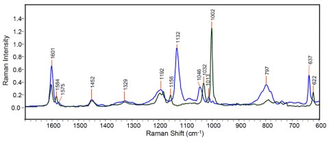Quantitative Analysis of a Water-soluble Polymer Using the i-Raman EX ...