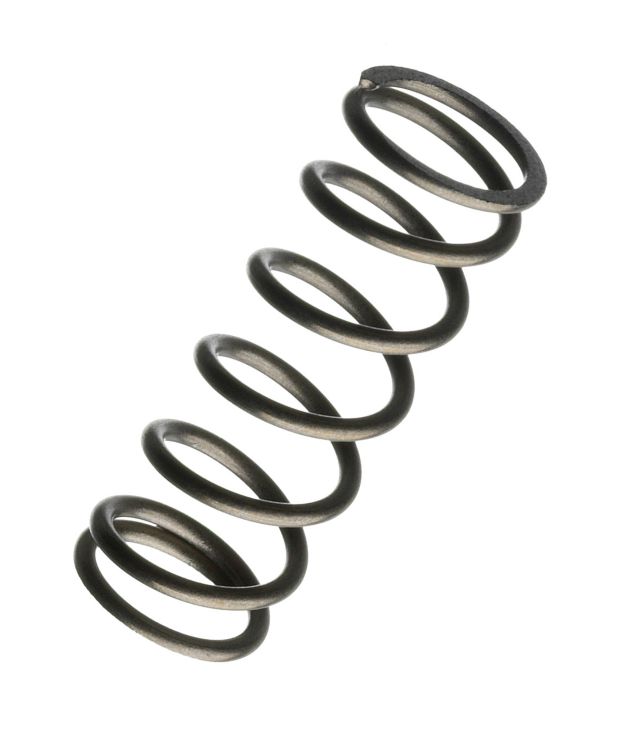 Spring for all pump pistons | Metrohm