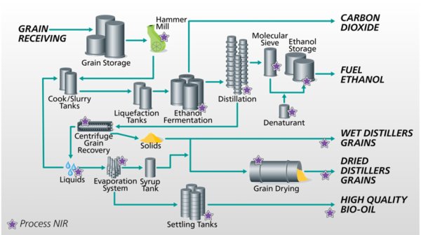 Inline monitoring of fermentation processes | Metrohm
