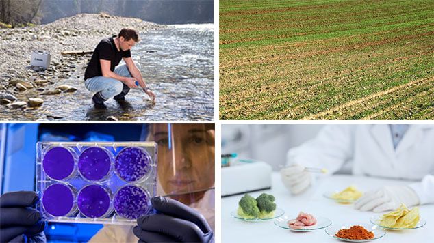 Custom-made electrochemcial sensors | Metrohm