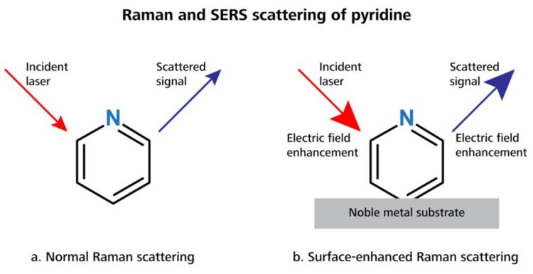Raman vs SERS… What’s the Difference? | Metrohm