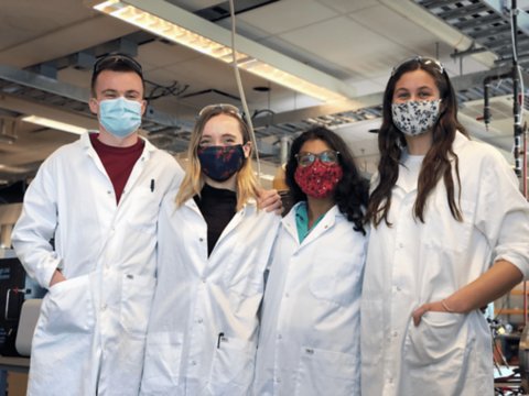 Procesos químicos de descarbonización con Thor | Metrohm