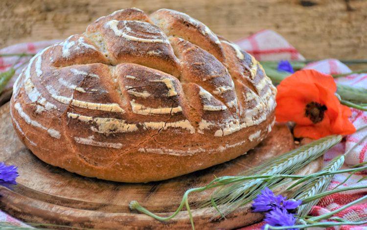 Chemical analysis of sourdough: pH and total titratable acidity (TTA ...