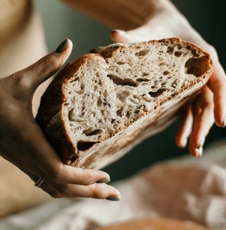 Chemical analysis of sourdough: pH and total titratable acidity (TTA ...