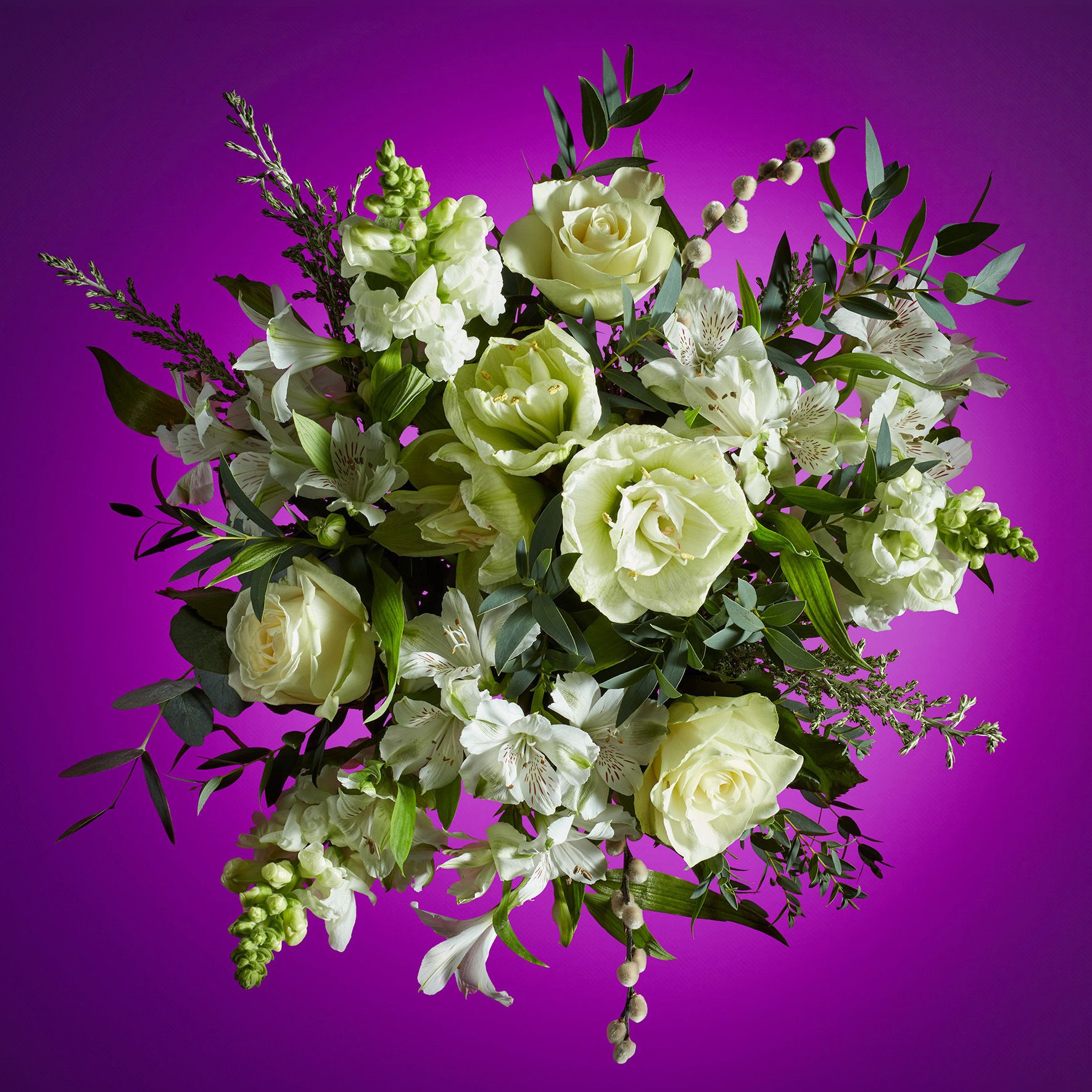 Amaryllis Flower Delivery | Best Flower Site